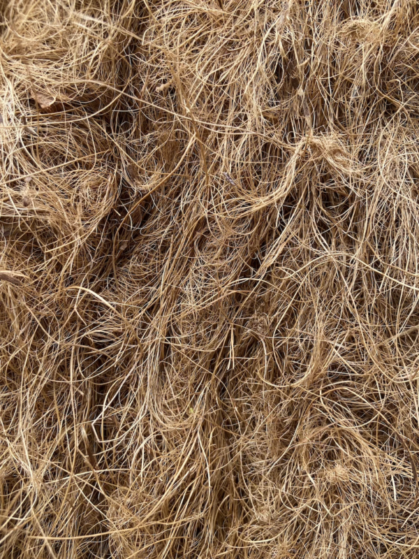 Fibra de Coco Natural – Tierra Coco