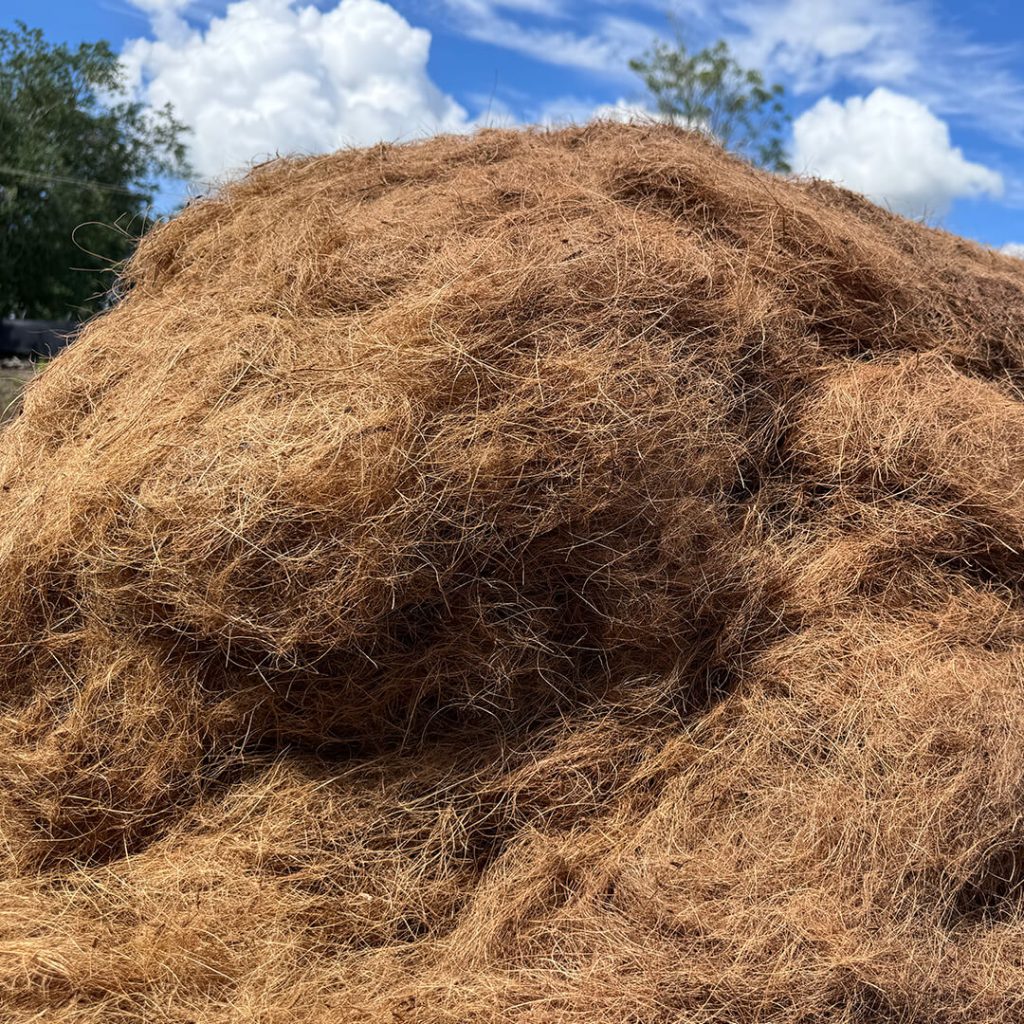 Fibra de Coco Natural – Tierra Coco